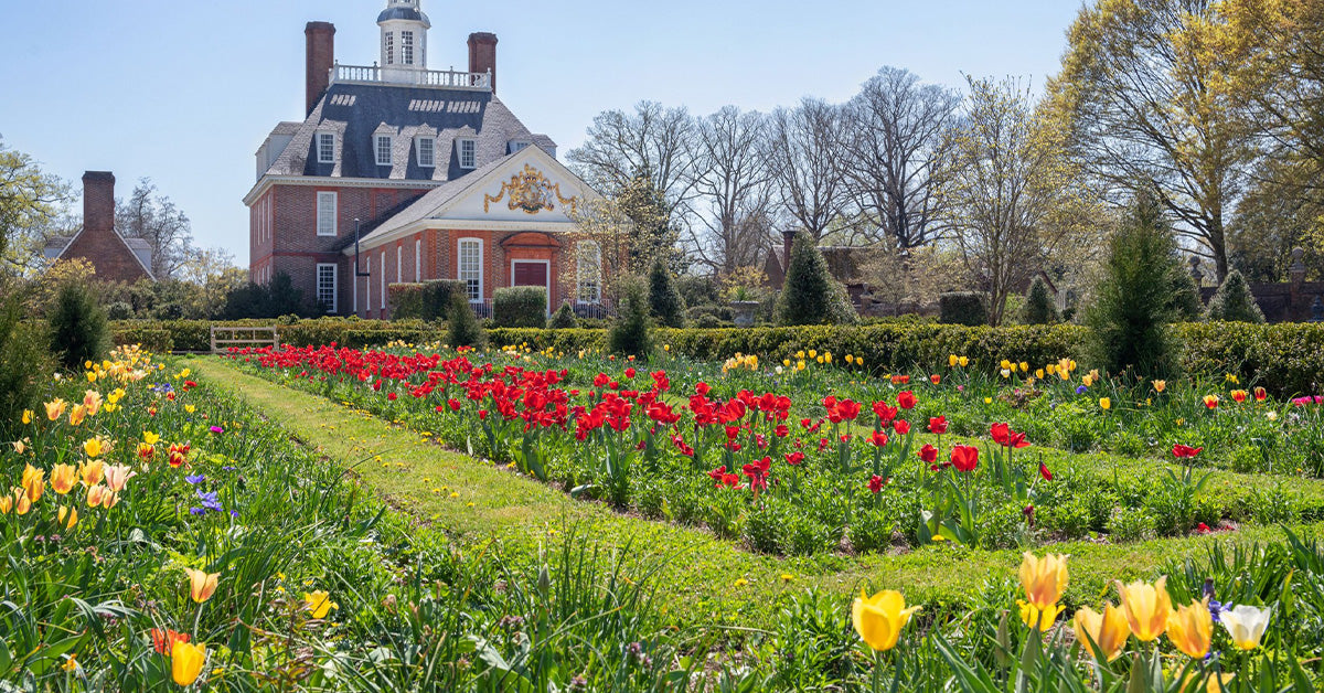Colonial Williamsburg Foundation & Our Partnership - Harney & Sons Fine ...