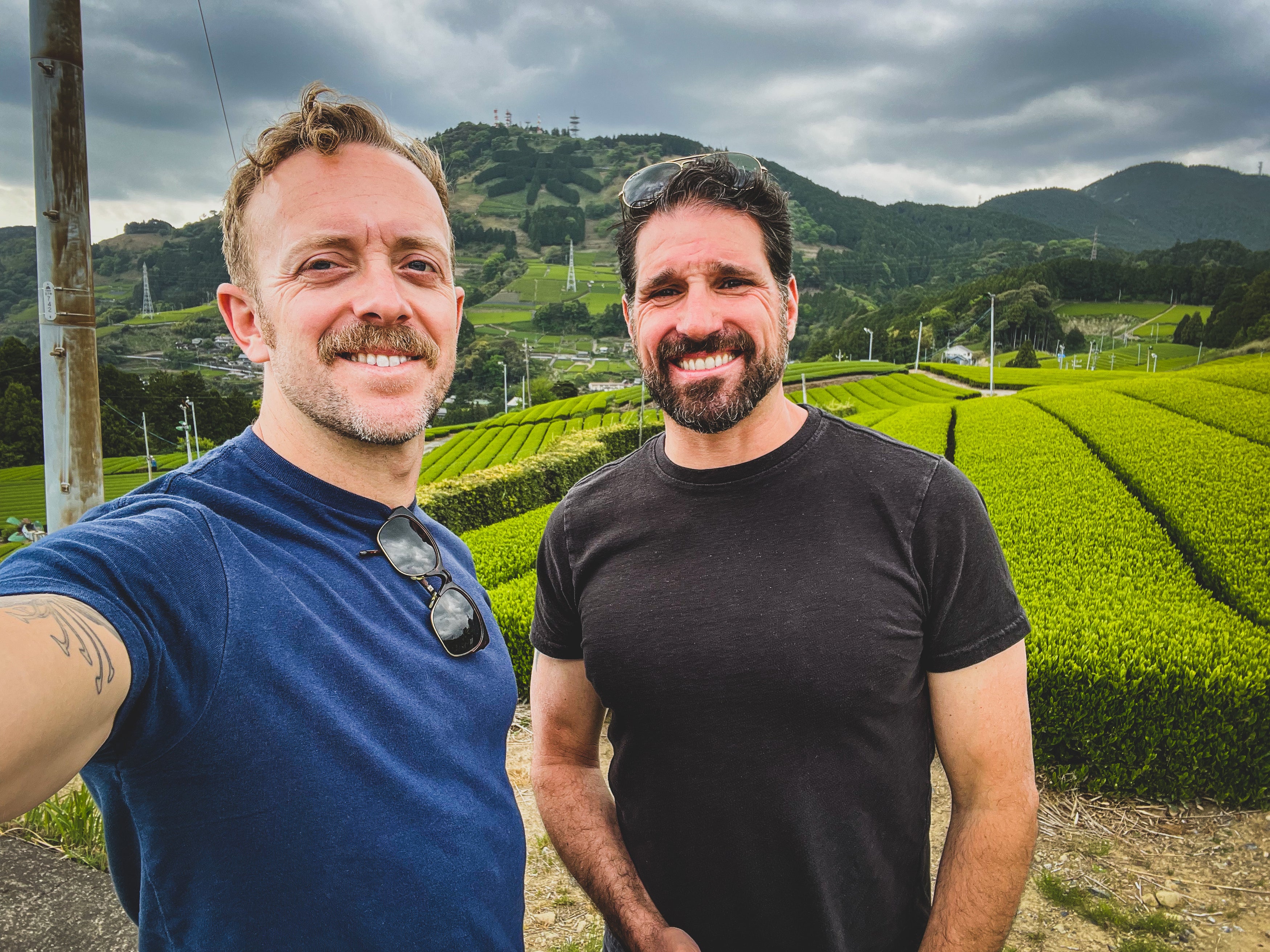 Des-tea-nation Florence - Harney & Sons Fine Teas