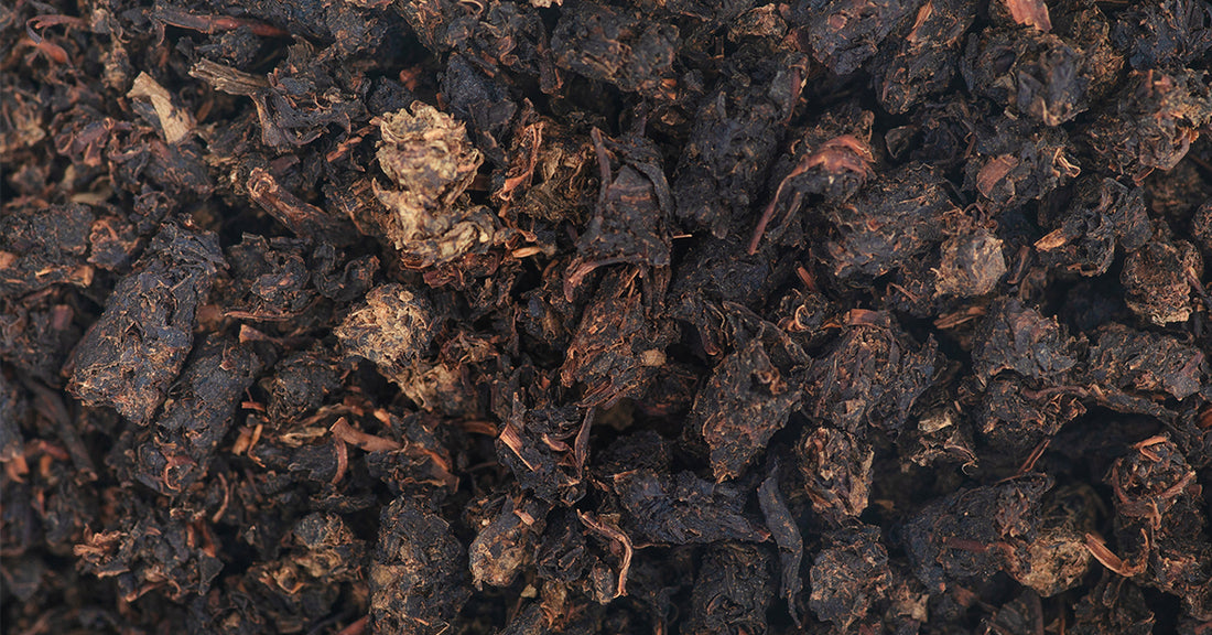 CTC Tea: What Is It and How It Differs from Orthodox Teas - Harney ...