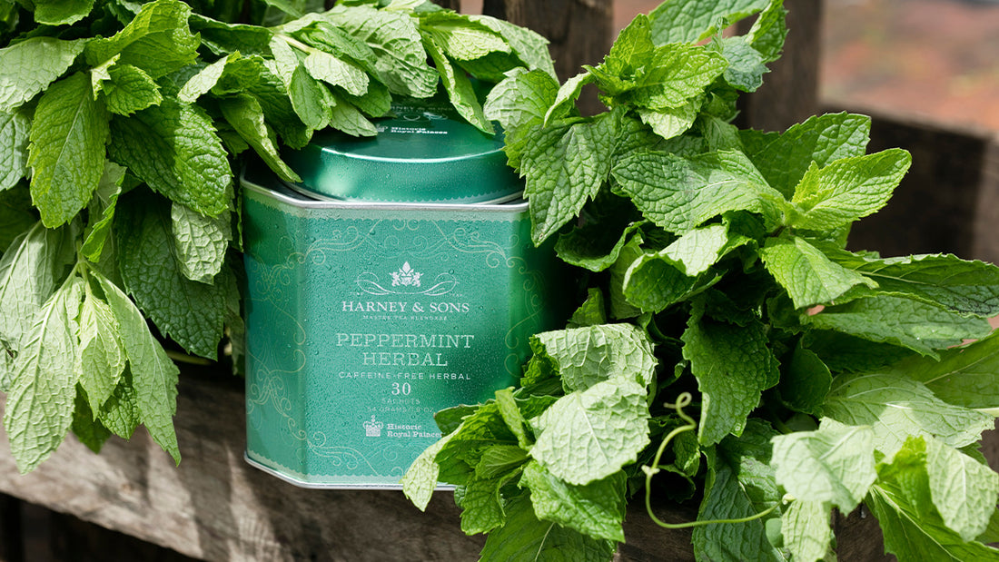 Teas for Sinus Relief | Harney & Sons - Harney & Sons Fine Teas