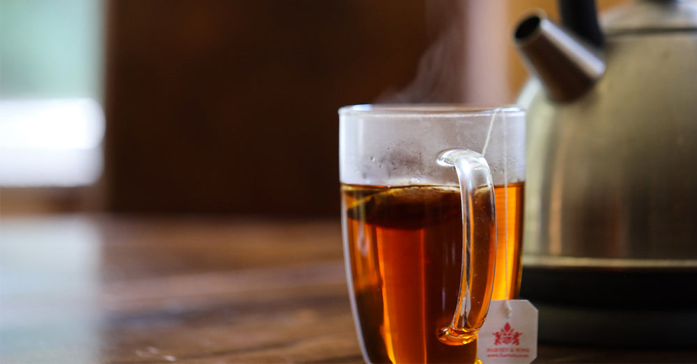 Best Teas for Cold Season | Harney & Sons - Harney & Sons Fine Teas