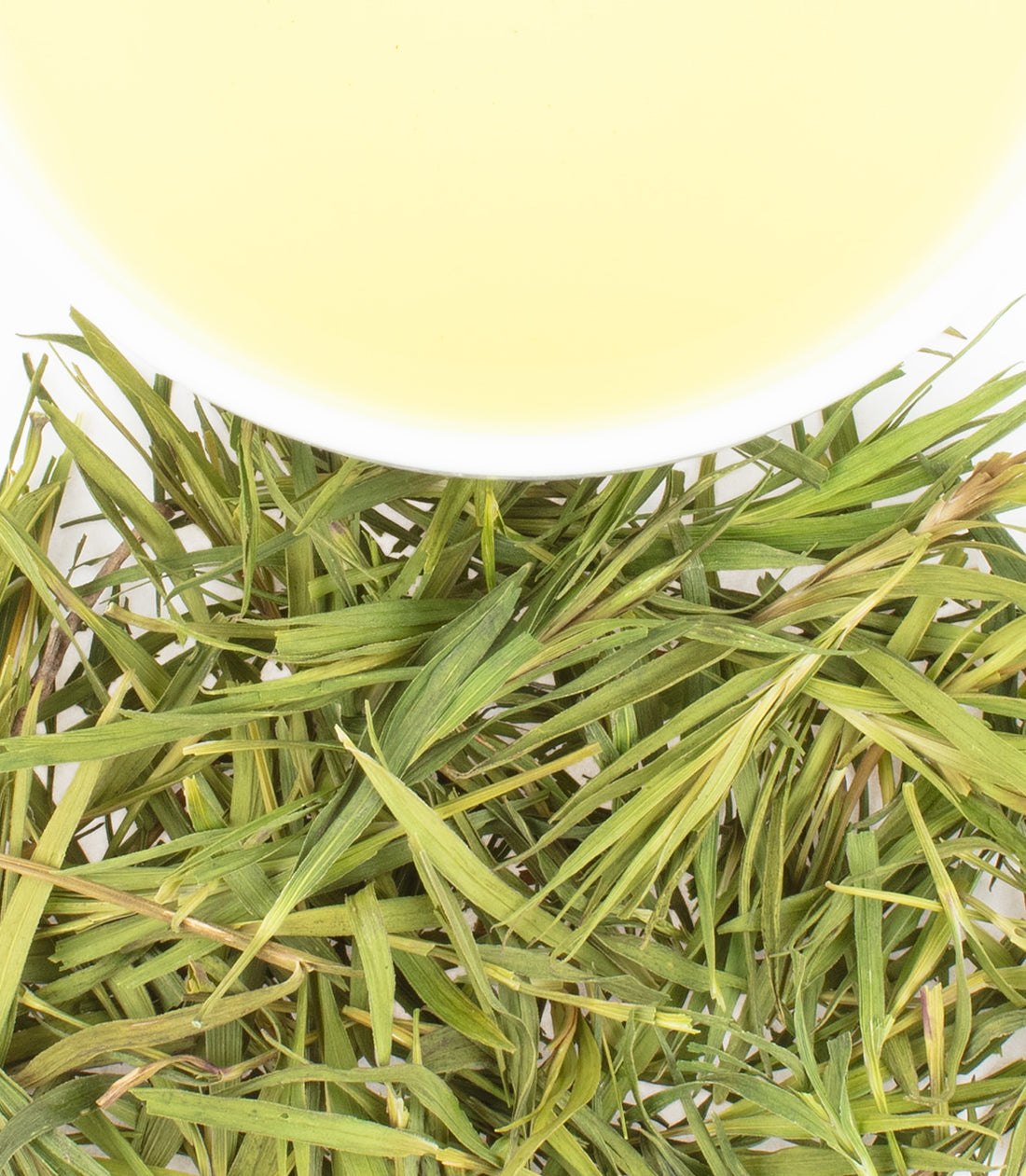 Bamboo Tea - Wellness Tea - Harney & Sons Fine Teas