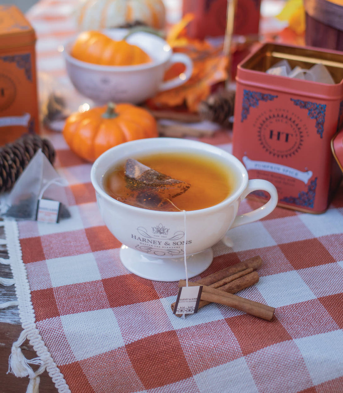Pumpkin Spice - HT Tin of 20 Sachets - Harney & Sons Fine Teas