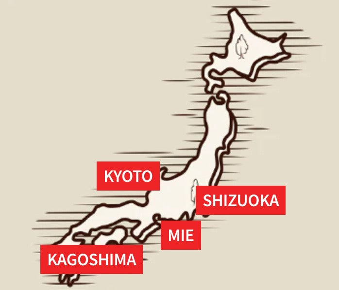 Tea 101: Essential Guide to Types, Brewing, and Benefits - Harney ...