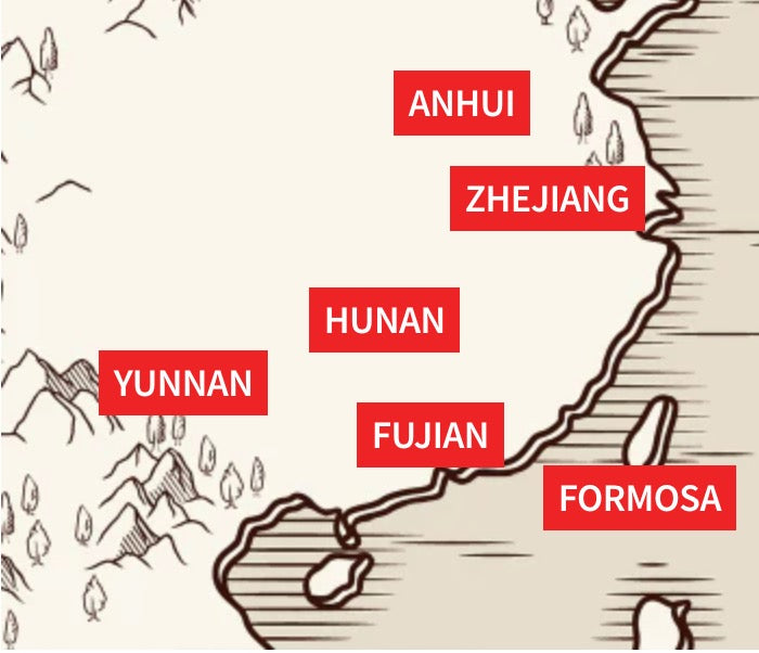 Tea 101: Essential Guide to Types, Brewing, and Benefits - Harney ...