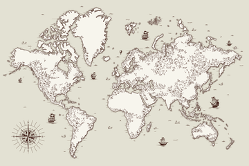 Tea 101: Essential Guide to Types, Brewing, and Benefits - Harney ...