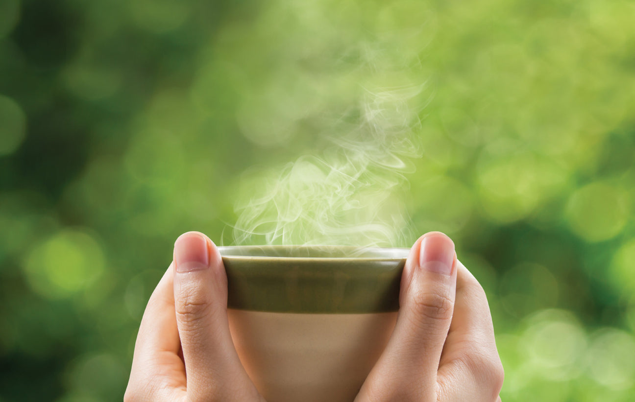 Tea 101: Essential Guide to Types, Brewing, and Benefits - Harney ...