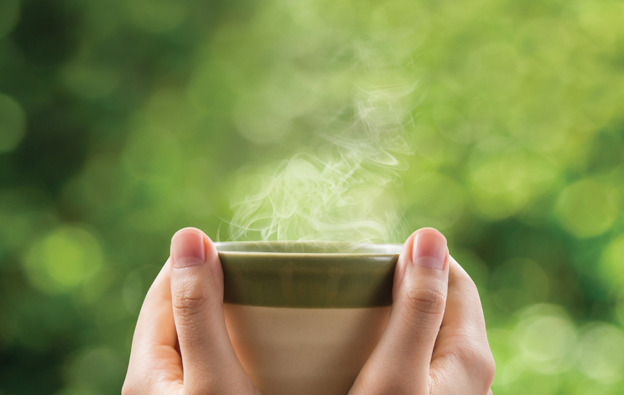 Tea 101: Essential Guide to Types, Brewing, and Benefits - Harney ...