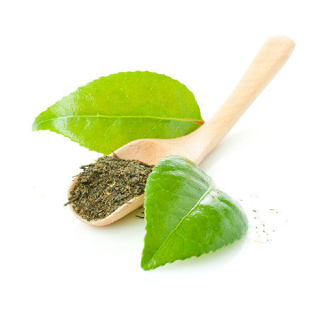 This is Tea - Harney & Sons Fine Teas