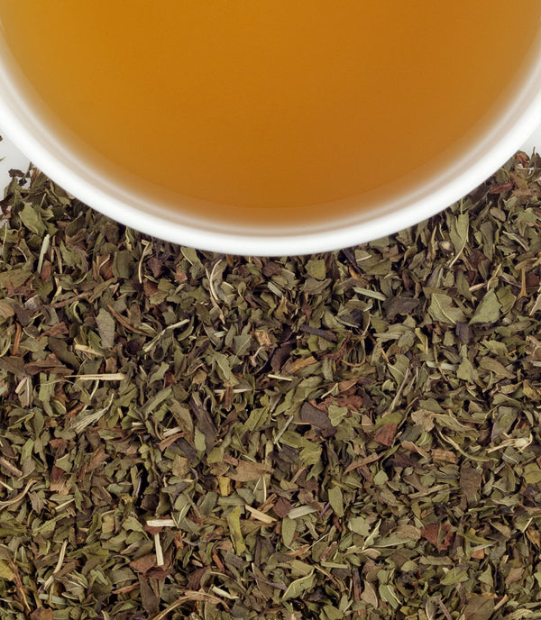 Peppermint Herbal Tea - Crisp Tisane | Harney & Sons