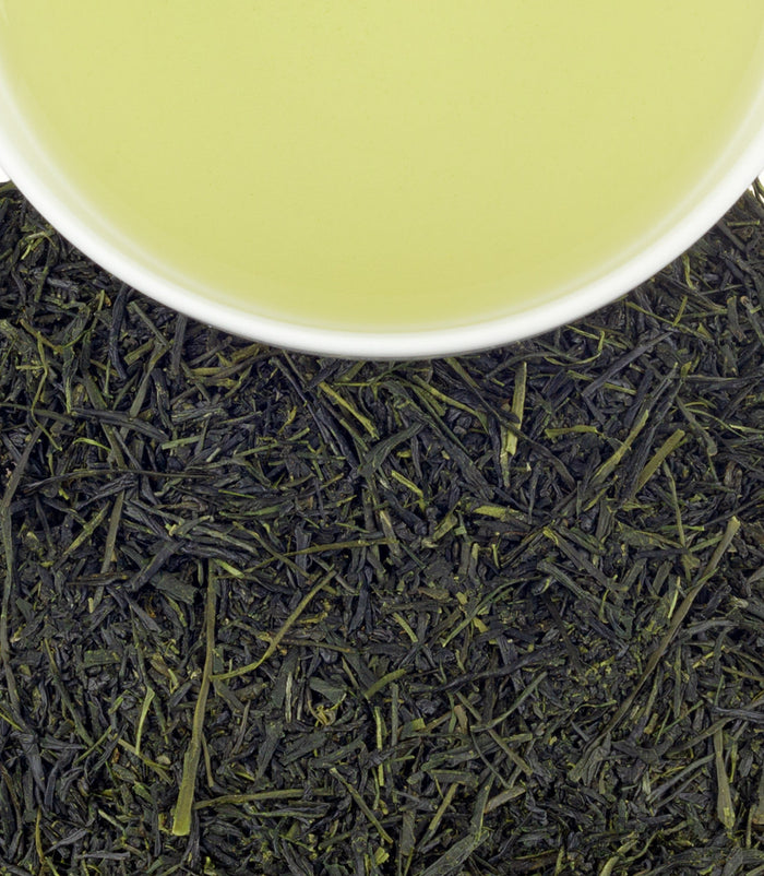 Sencha Scent of Mountains - Japanese Green Tea - Harney & Sons Fine Teas