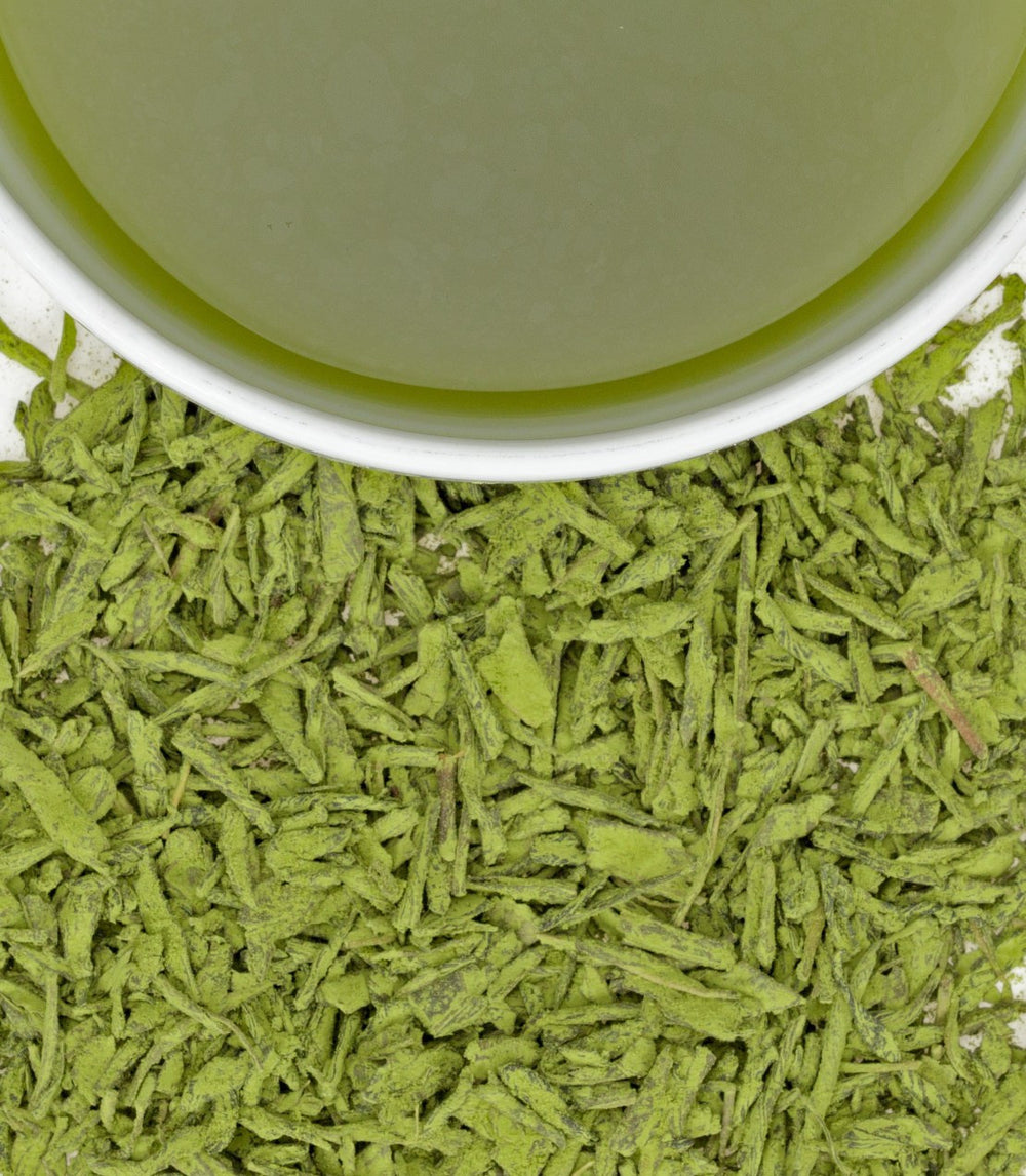 White Peach Matcha - Flavored Matcha Tea - Harney & Sons Fine Teas